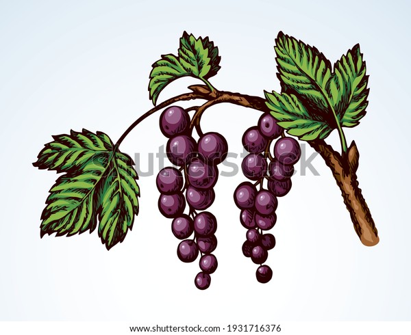 Outline Red Ink Hand Drawn Fresh Stock Vector (Royalty Free) 1931716376 ...