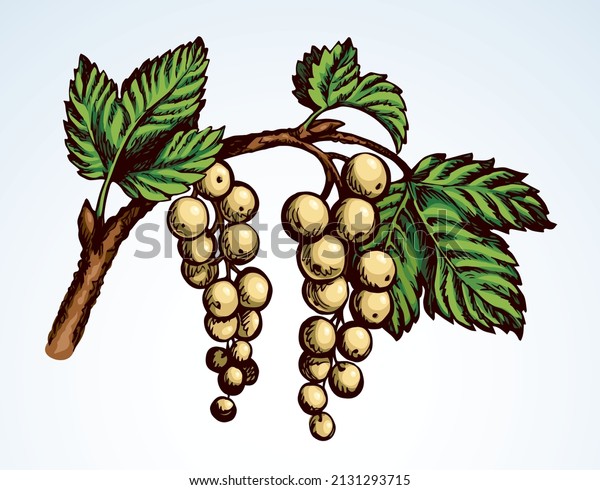 Outline Red Ink Hand Drawn Fresh Stock Vector (Royalty Free) 2131293715 ...