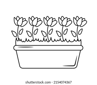 Outline Roses Long Container Pot Isolated Stock Vector (Royalty Free ...