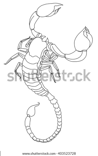 Outline Scorpion Isolated On White Vector Stock Vector (Royalty Free ...