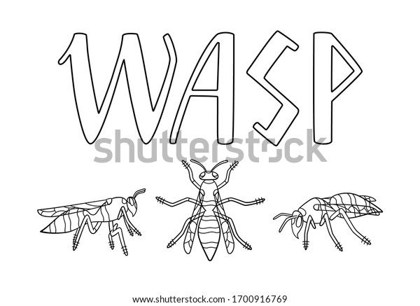 Outline Style Wasp Lettering Wasps Set Stock Vector (Royalty Free ...
