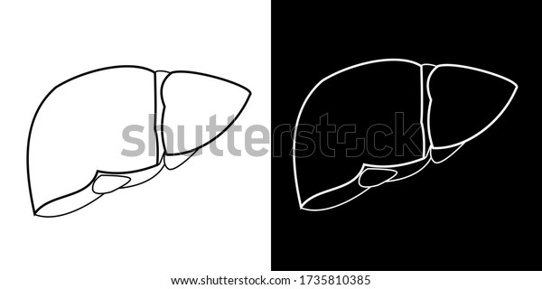 Outline Vector Drawing Human Liver Illustration Stock Vector (Royalty ...