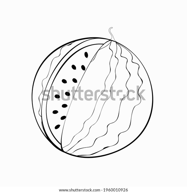 Outline Vector Illustration Cut Watermelon Isolated Stock Vector ...