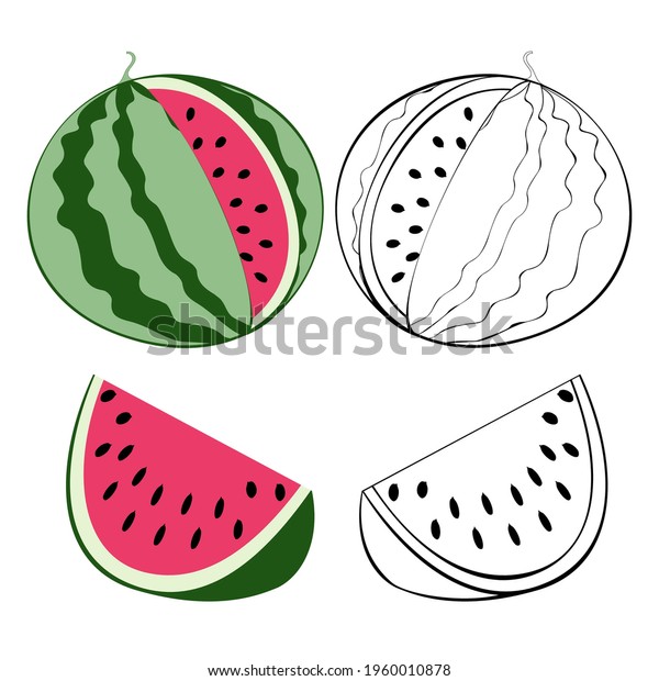 Outline Vector Illustration Four Cut Watermelons Stock Vector (Royalty ...