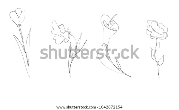 Outline Vector Set Different Flowers Single Stock Vector (Royalty Free ...