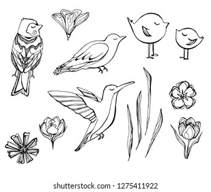 Outline Vector Spring Birds Flowers Set: vetor stock (livre de direitos ...