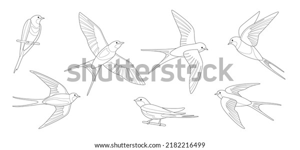 Outlined Flying Swallows Coloring Page Bird: เวกเตอร์สต็อก (ปลอดค่า ...