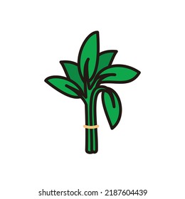 Outlined Water Spinach Vector Illustration Isolated Stock Vector ...