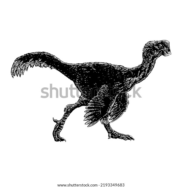 Oviraptor Hand Drawing Vector Illustration Isolated: เวกเตอร์สต็อก ...