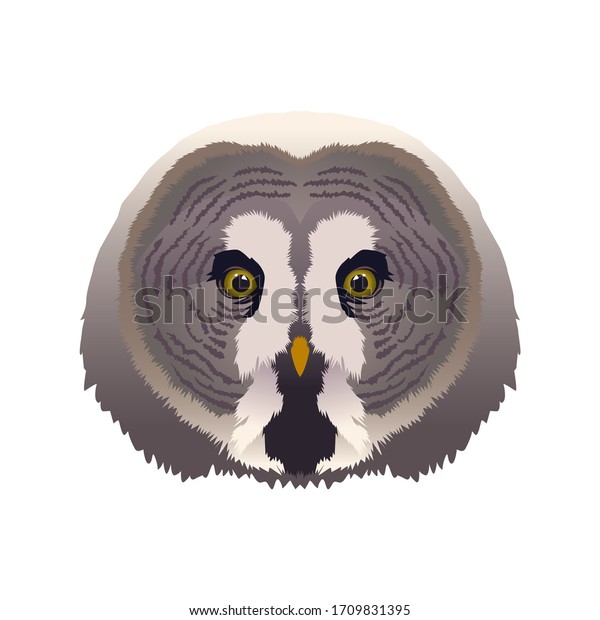 Owl Bird Head Kid Book Illustration Stock Vector (Royalty Free ...