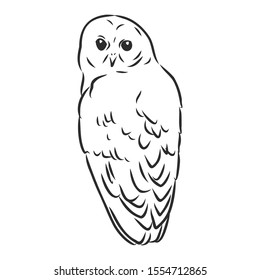 Owl Sketch Contour Vector Illustration Stock Vector (Royalty Free ...