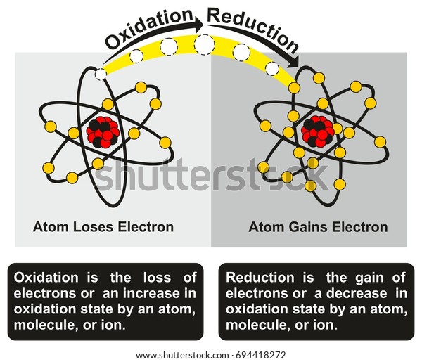 Oxidation Reduction Process Infographic Diagram Example Stock Vector ...