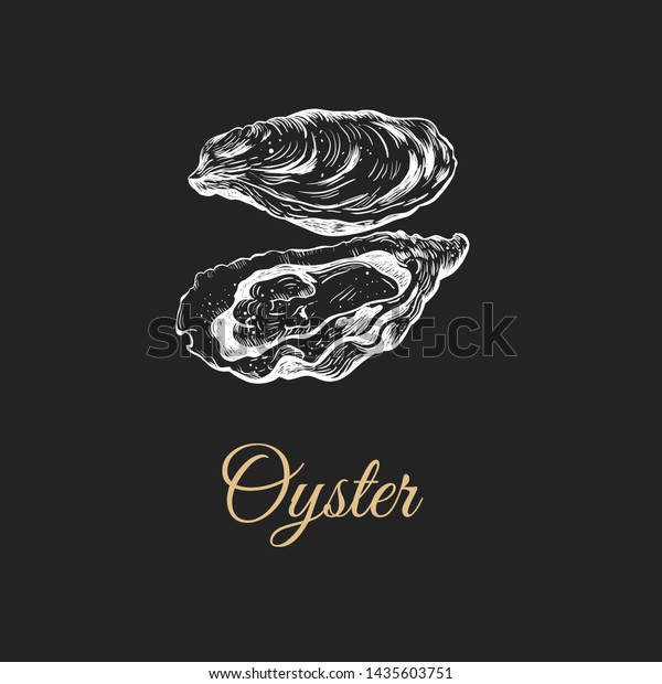 Oyster Sketch Vector Illustration Oyster Shell Stock Vector (Royalty ...