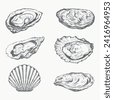 9,519 Oyster Outline Stock Vectors and Vector Art | Shutterstock