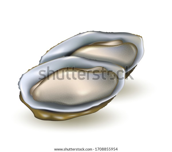 Oysters Realistic Vector Illustration Seafood Product Stock Vector ...