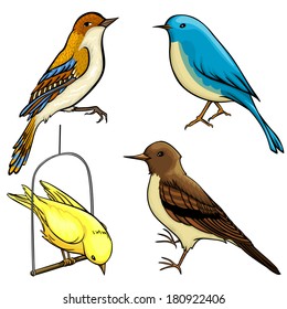 Pack Four Vector Cartoon Birds Stock Vector (Royalty Free) 180922406 ...