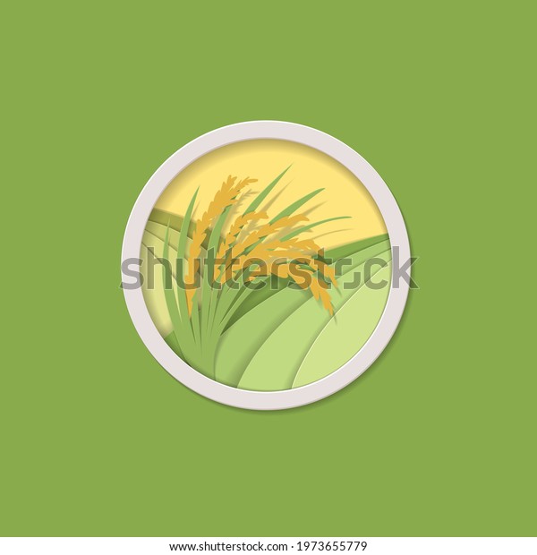 Paddy Field Rice Plant Vector Illustration Stock Vector (Royalty Free ...
