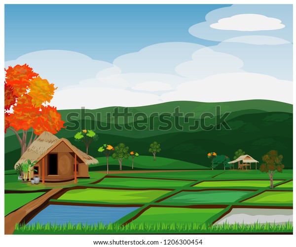Paddy Field Vector Design Stock Vector (Royalty Free) 1206300454 ...