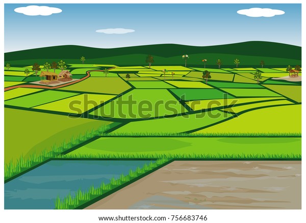 Vektor Stok Desain vektor bidang sawah (Tanpa Royalti) 756683746 ...