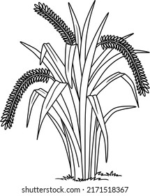 870 Paddy sketch Images, Stock Photos & Vectors | Shutterstock