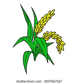 Paddy Vector Illustrationisolated On White Backgroundtop Stock Vector ...