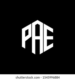 Pae Letter Logo Design Polygon Monogram Stock Vector (Royalty Free ...