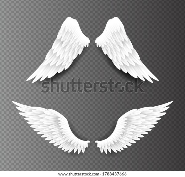 Pair Beautiful White Angel Wings Isolated Stock Vector (Royalty Free ...