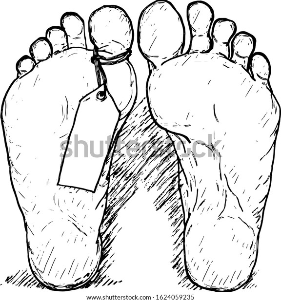 Pair Feet Identification Tag Tethered Toe: เวกเตอร์สต็อก (ปลอดค่า ...