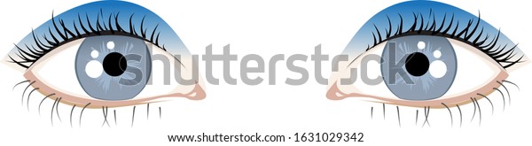 Pair Realistic Vector Illustration Female Eyes Stock Vector (Royalty ...