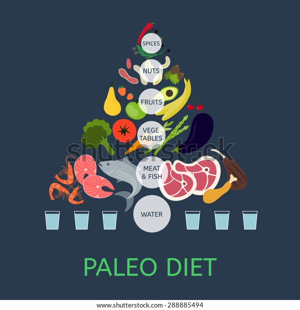 Paleolithic Diet Pyramid Infographic About Healthy Stock Vector ...