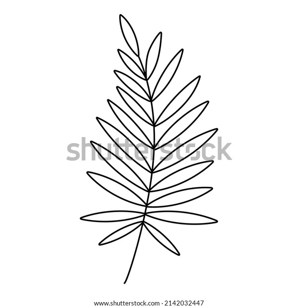 Palm Branch Line Logo Abstract Botanical Stock Vector (Royalty Free ...