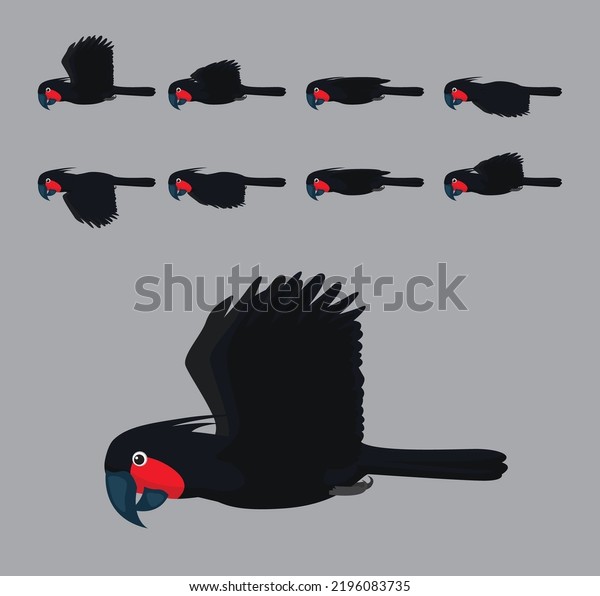 Palm Cockatoo Flying Animation Sequence Cartoon Stock Vector (Royalty ...