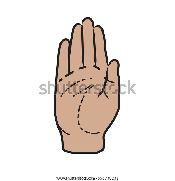 Palm Hand Drawn Cartoon Style Stock Vector (Royalty Free) 556930231
