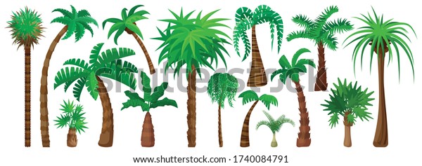 Palm Tree Isolated Cartoon Set Icon Stock Vector (Royalty Free ...