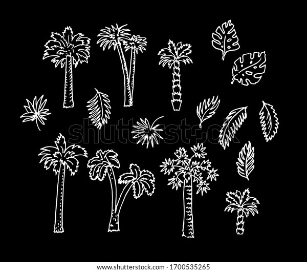 Palm Tree Palm Leaves Set Chalkboard Stock Vector (Royalty Free ...