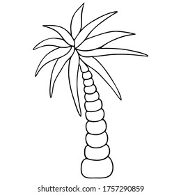 Palma Vector Illustration Outline On Isolated Stock Vector (Royalty ...