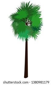Palmyra Tree Palm Tree Vector Art Stock Vector (Royalty Free ...