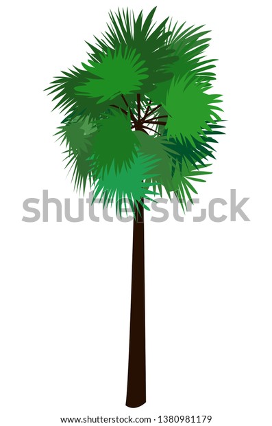 Palmyra Tree Palm Tree Vector Art Stock Vector (Royalty Free ...