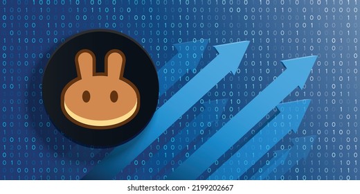 Pancakeswap Cake Crypto Currency Logo Coin Stock Vector (Royalty Free ...