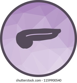 Pancreas Anatomy Gallbladder Stock Vector (Royalty Free) 1159900540 ...