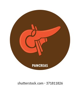 10,476 Pancreas Stock Vectors, Images & Vector Art | Shutterstock