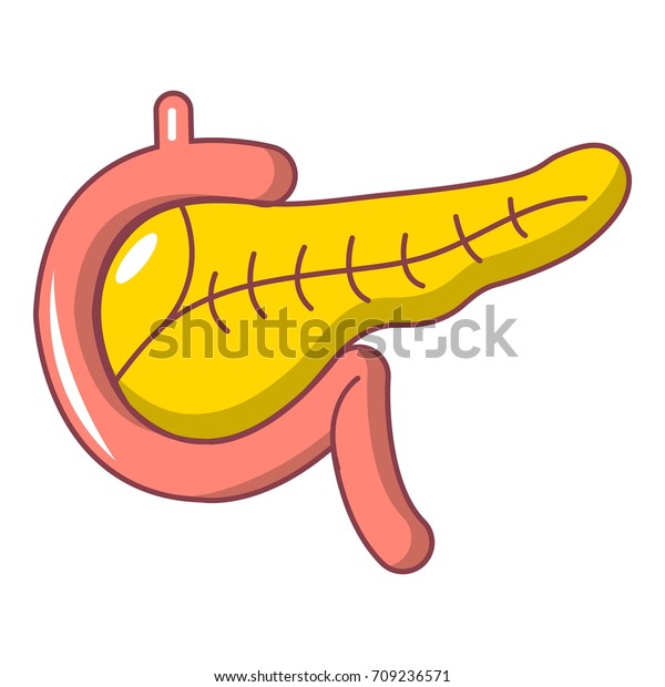 Pancreas Icon Cartoon Illustration Pancreas Vector Stock Vector ...