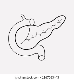 Pancreas Icon Line Element Vector Illustration Stock Vector (Royalty ...
