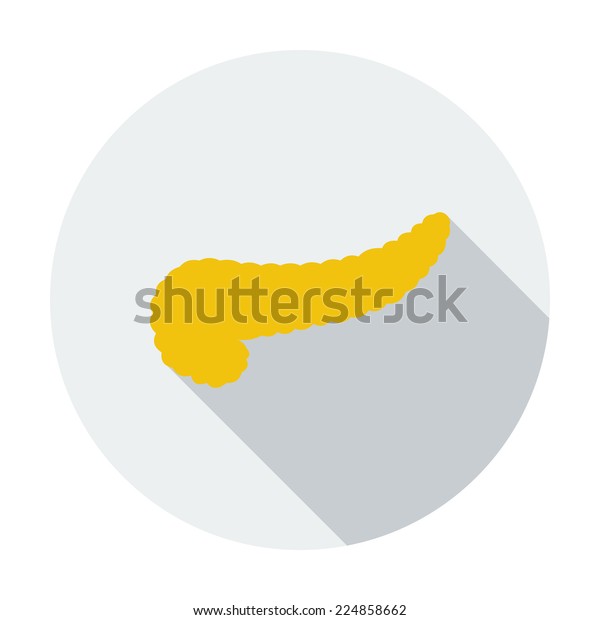 Pancreas Single Flat Color Icon Vector Stock Vector (Royalty Free ...