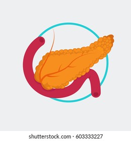 Pancreas Vector Illustration Stock Vector (Royalty Free) 603333227 ...