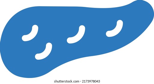 Pancreas Vector Illustration On Transparent Backgroundpremium Stock ...