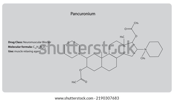 Pancuronium Neuromuscular Blocker Chemical Structure Drug: เวกเตอร์ ...