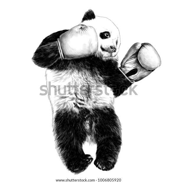 Panda sketch vector graphics monochrome black-and-white drawing