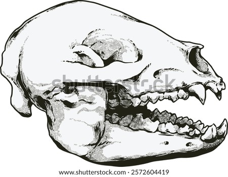 Skull Outline Drawing | Free download on ClipArtMag