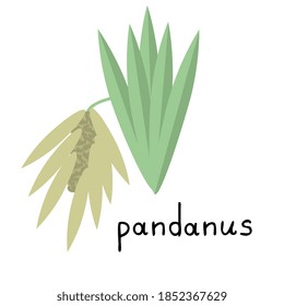 417 Pandanus Stock Vectors, Images & Vector Art | Shutterstock